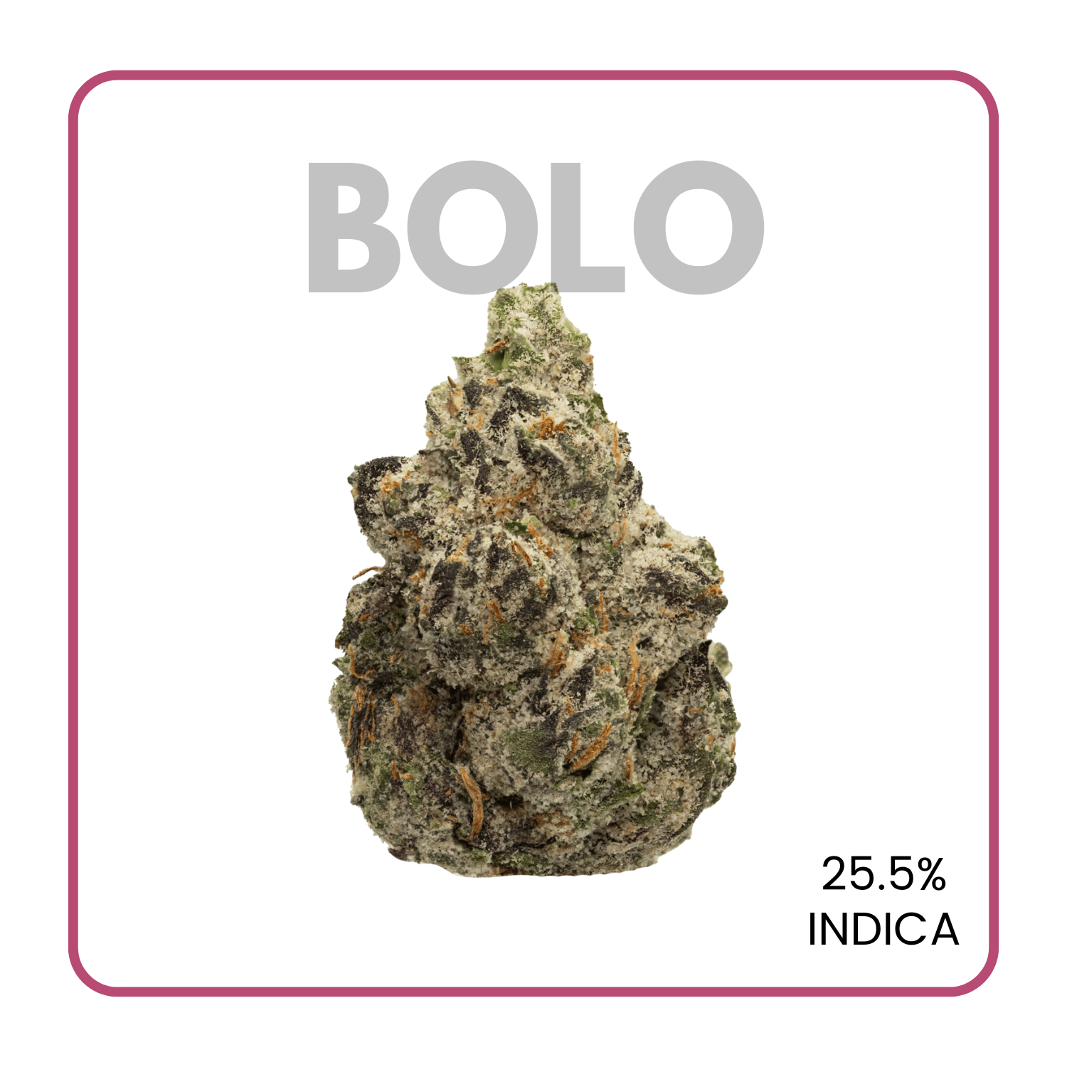 Bolo Strain | flowerz