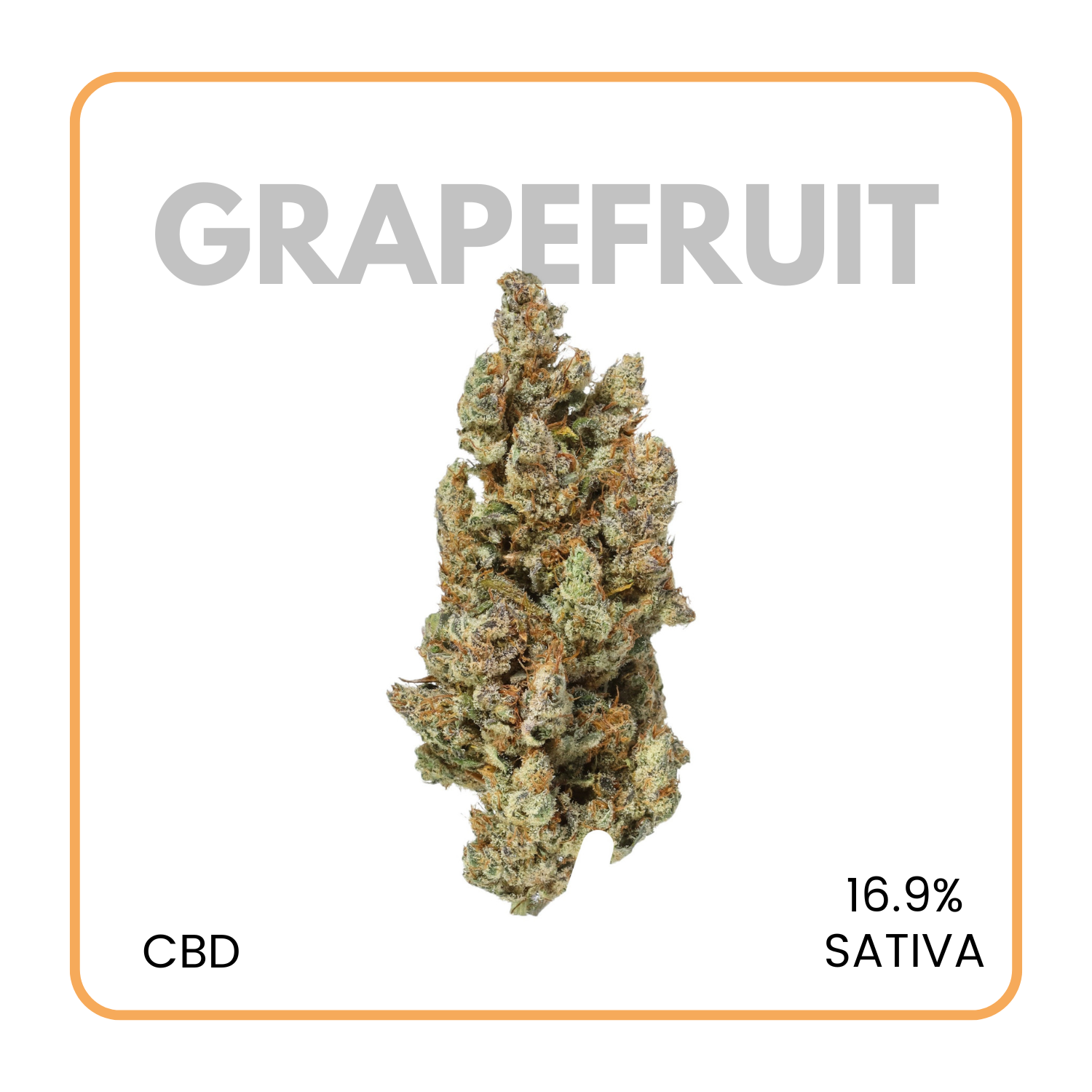 Daily Grapes Strain | flowerz