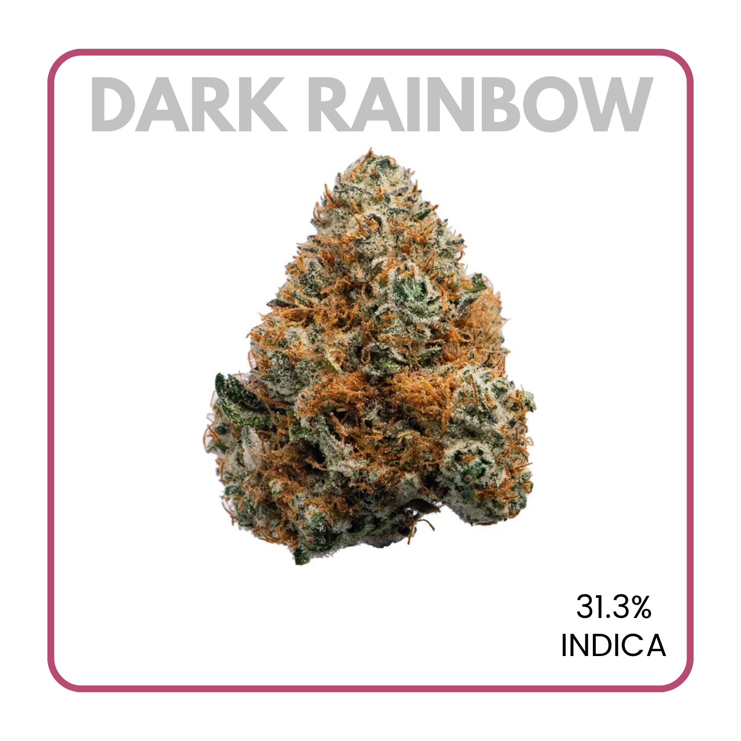 Dark Rainbow Strain | flowerz
