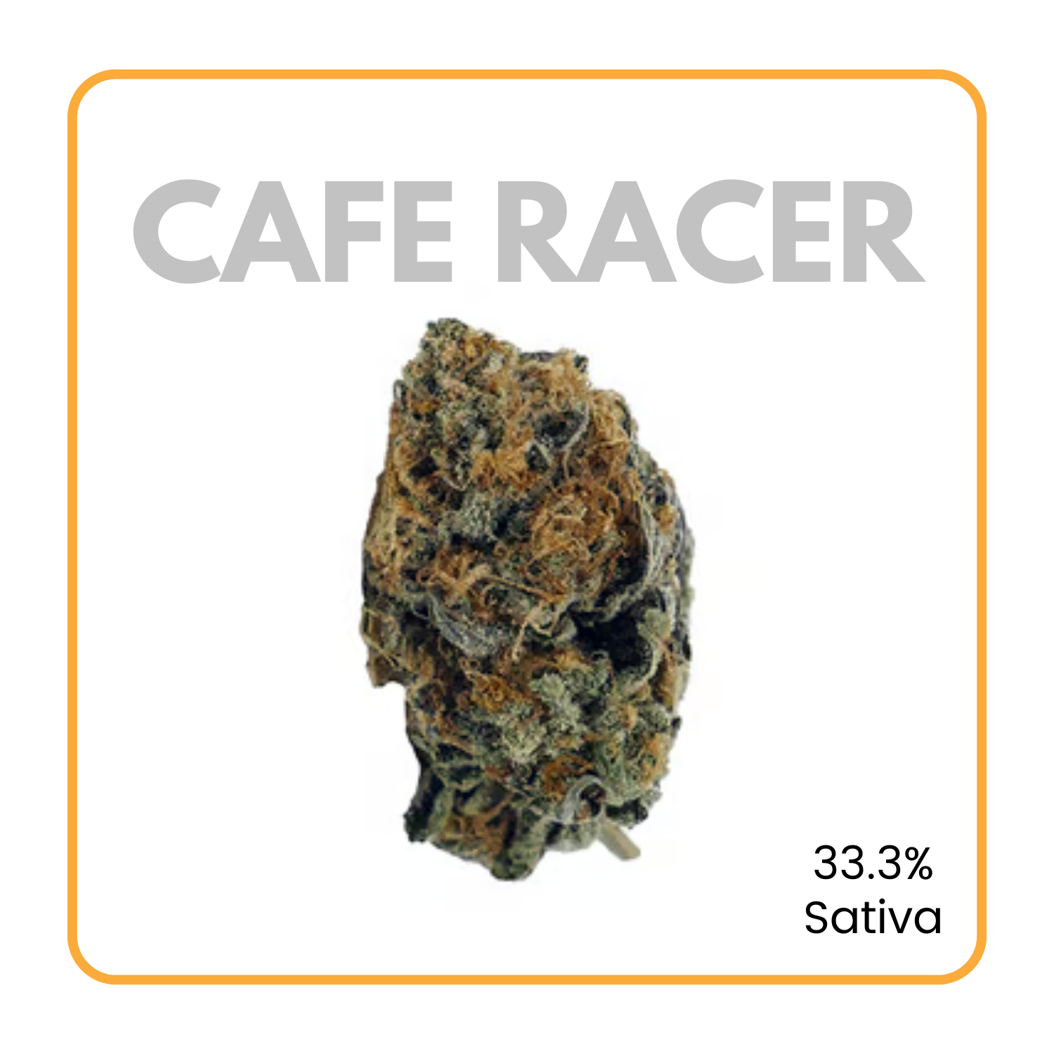 Cafe Racer Strain | flowerz