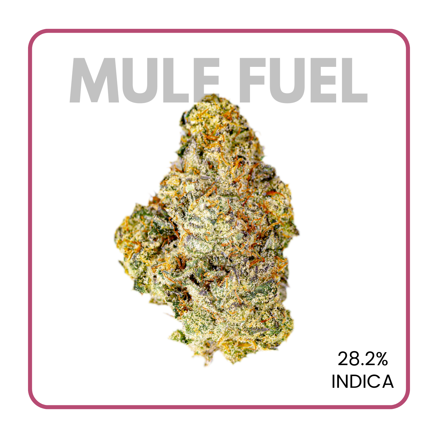 Mule Fuel Strain | flowerz