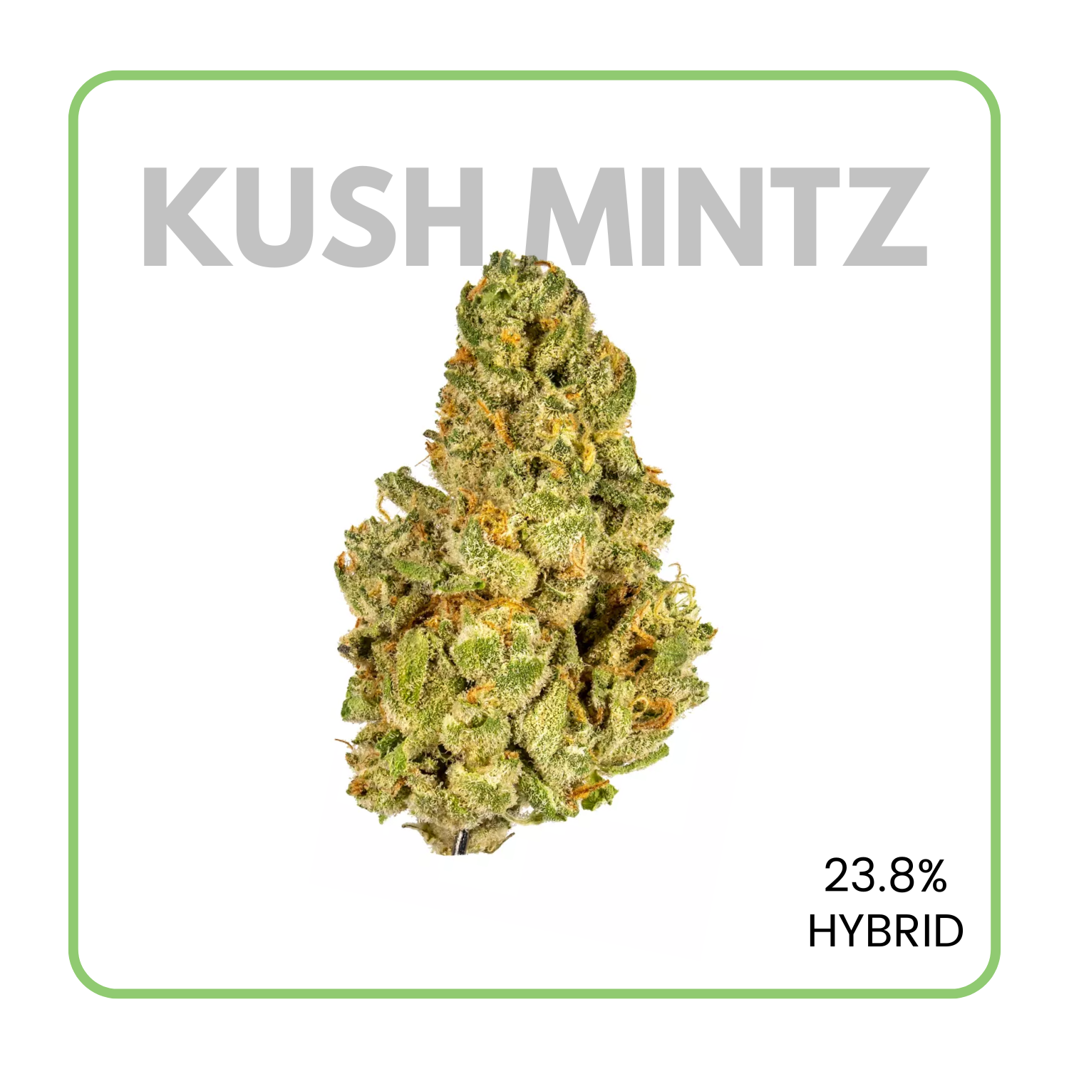 Kush Mintz Strain | flowerz